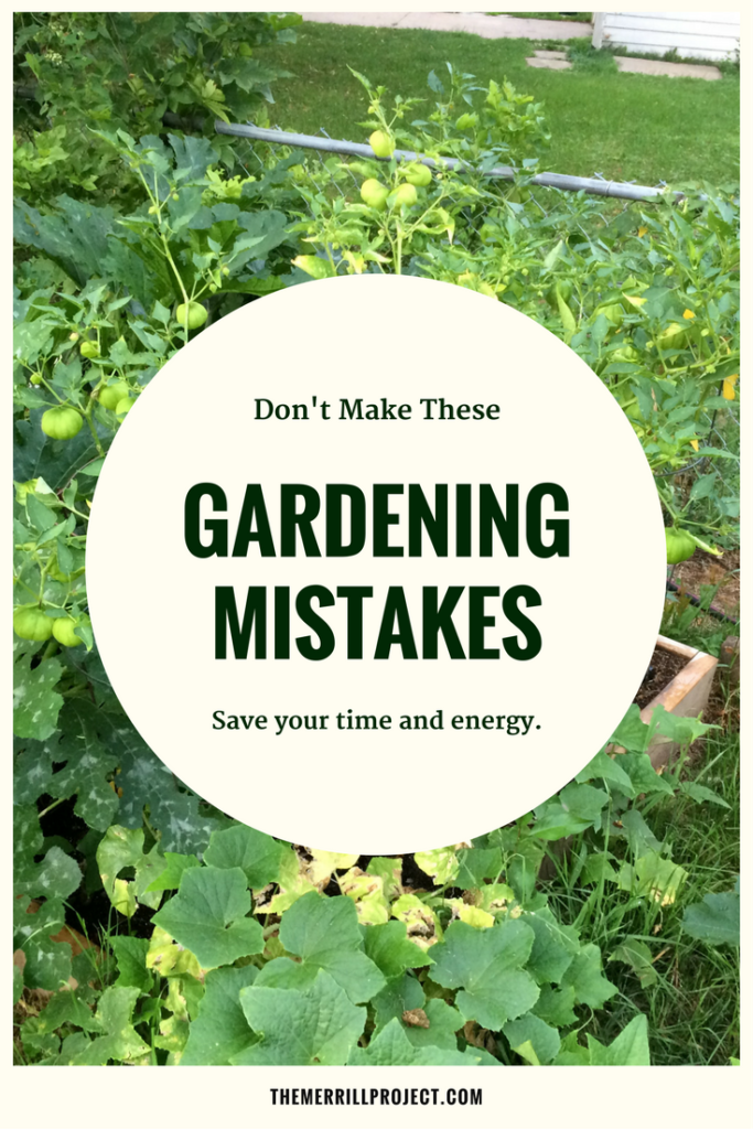 Don't Make These Gardening Mistakes - The Merrill Project