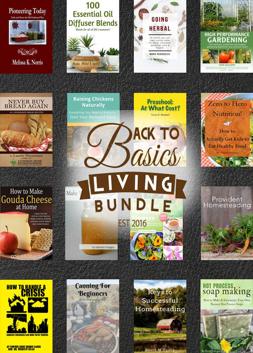 Introducing the Back To Basics Bundle- 2018 - The Merrill Project