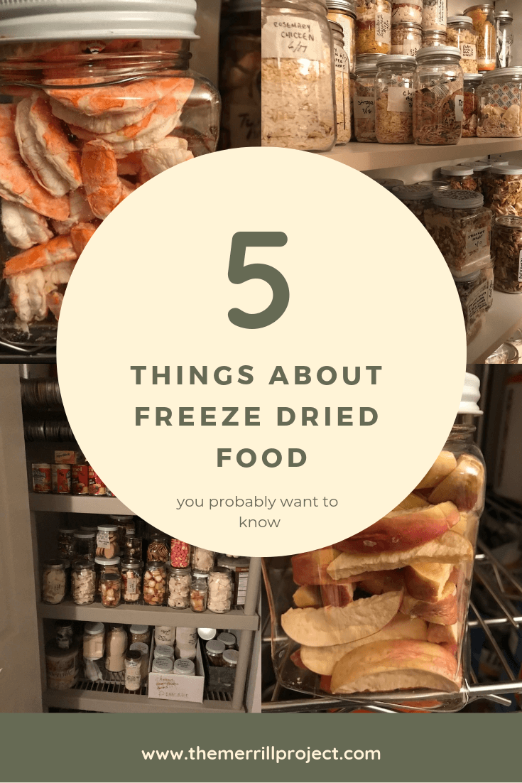 5 Things You Need To Know About Freeze Dried Food - The Merrill Project