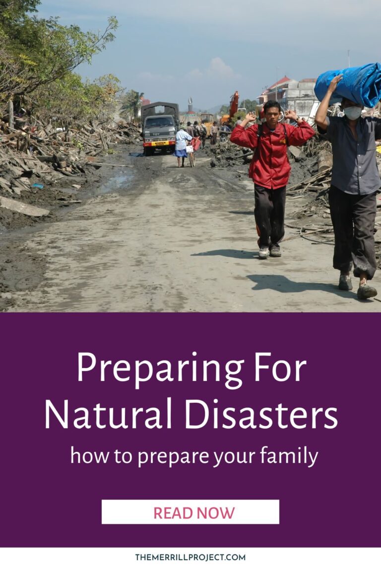 Preparing Your Family For Natural Disasters: The Fundamentals - The ...