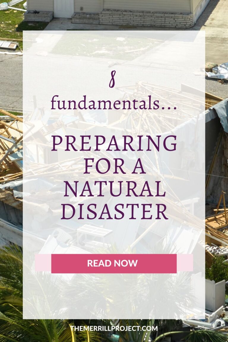 Preparing Your Family For Natural Disasters: The Fundamentals - The ...